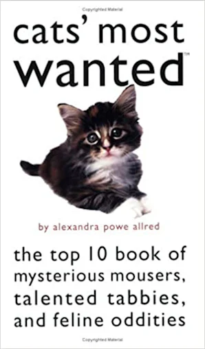 Cats' Most Wanted - Nebraska Press